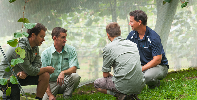 Farmlands - Mark & Robbie Mayston, BoP